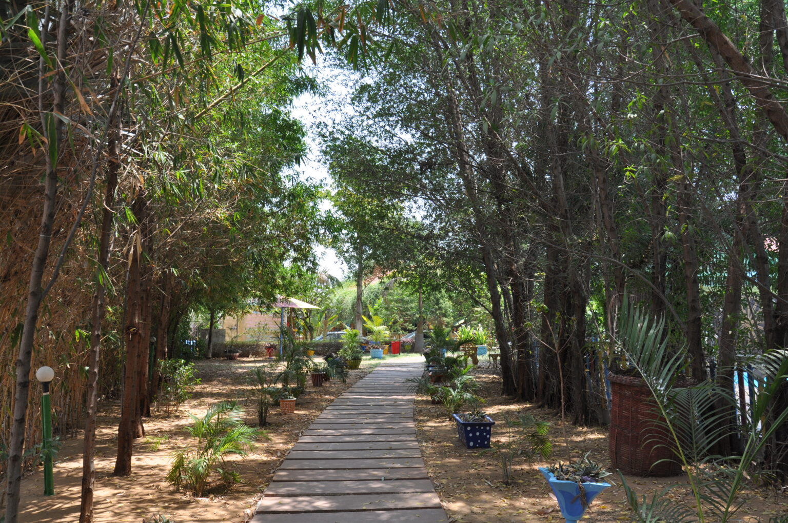 Vatika Green Resort and Restaurant, Devgadh Baria | Day Picnic