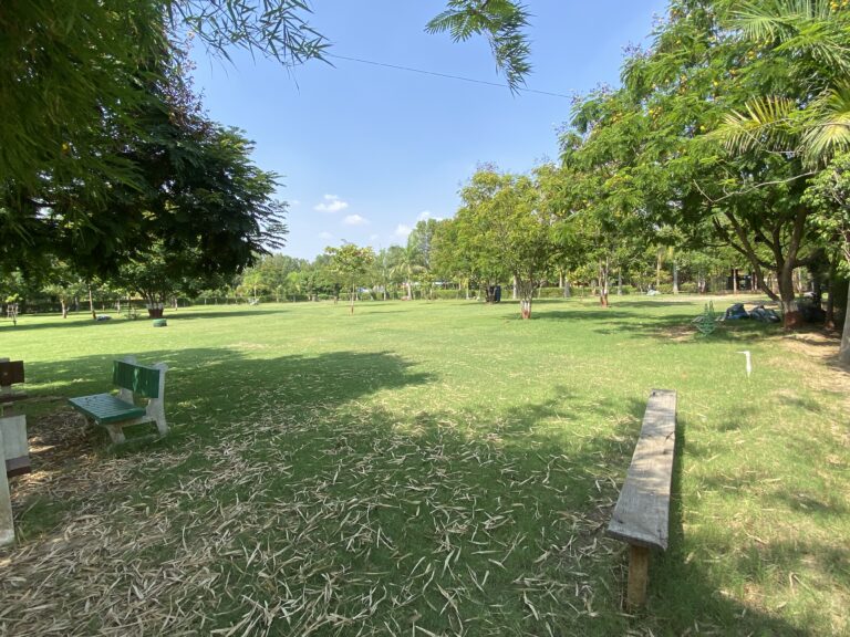 Book Camp Unity Resort vadodara For One Day Picnic